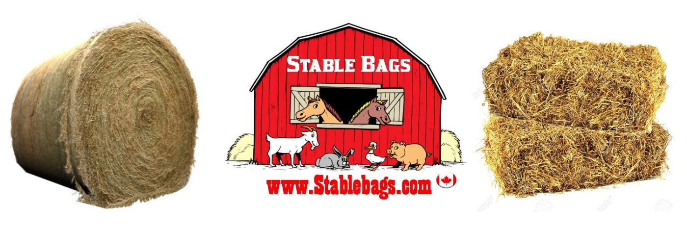 Become A Distributor – Stable Bags